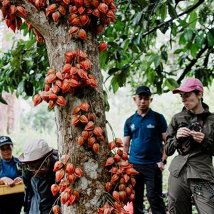 Faculty of Social Sciences and Humanities